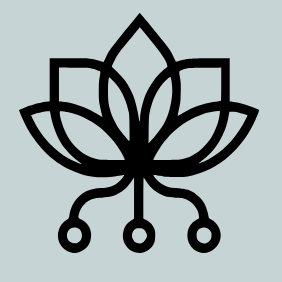 Pollinations AI Review – Open-Source & Inclusive Image Generator ...